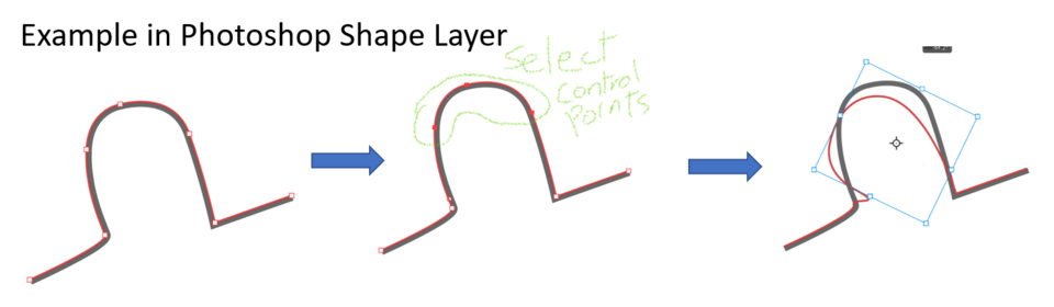 Transform a few selected Control points only on Vector layer - CLIP ...