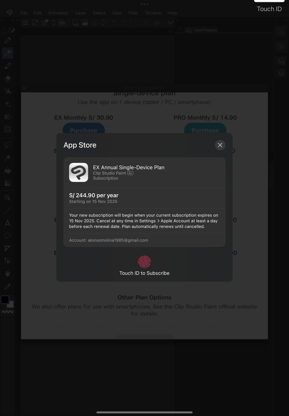 IPAD CSP PRO upgrade to EX will take a year. - CLIP STUDIO ASK