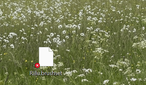 I bought a brush pack off of Ko-fi but I can't add them into Clip ...